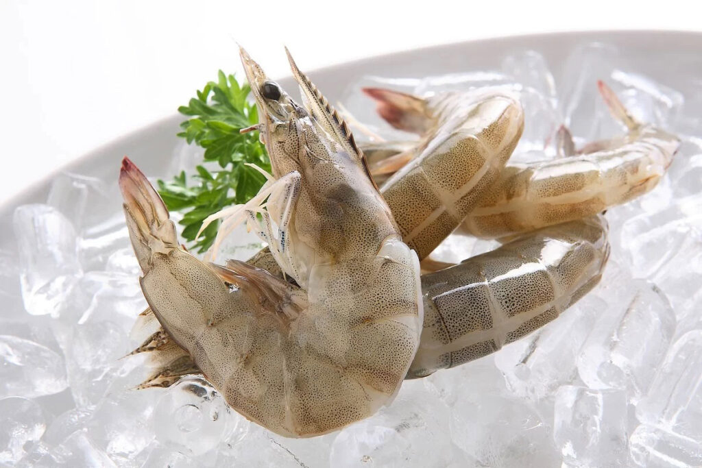 Crustacean - A Dream Icon Co. Ltd